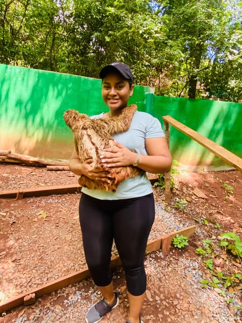Roatan Snorkeling + Sloths | GetYourGuide