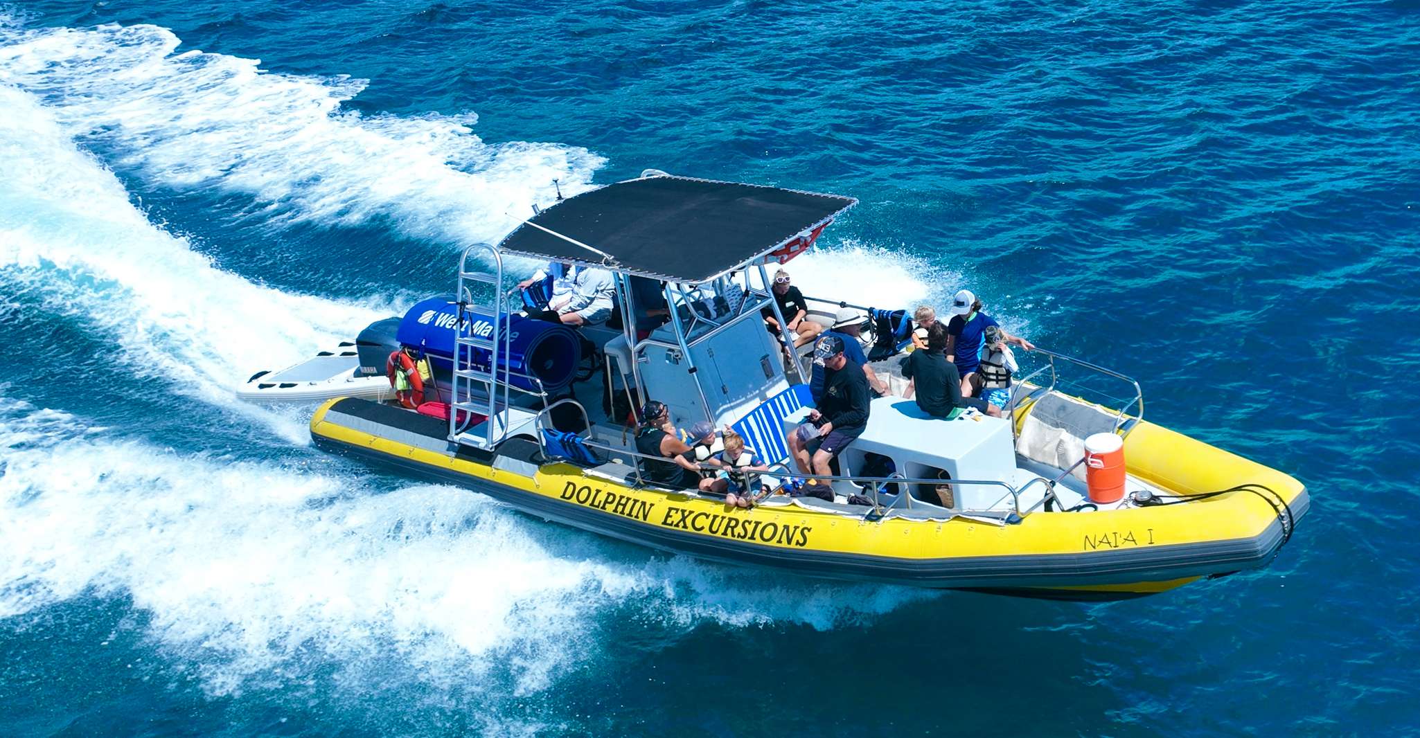 Oahu, Dolphin Swim and Turtle Snorkel Excursion in Waianae | Water ...