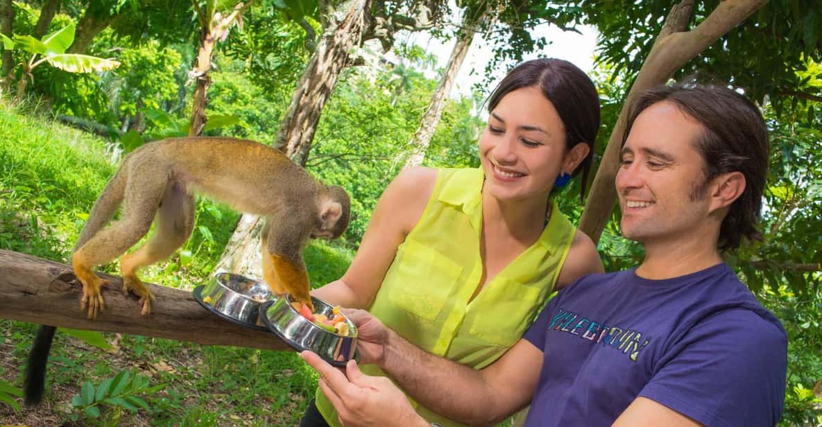 Monkeyland Punta Cana Natural Jungle and Guided Safari Tour | GetYourGuide