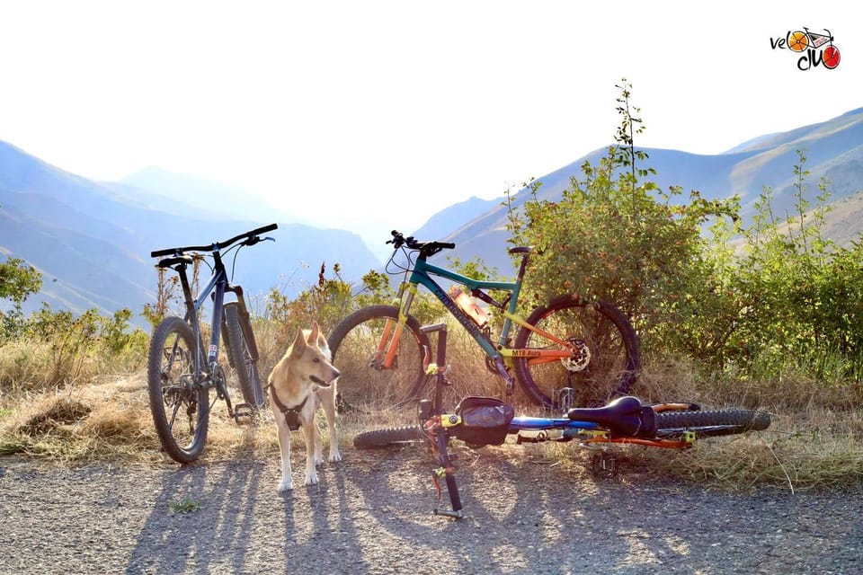 Armenia: MTB tour with magnificent views | GetYourGuide