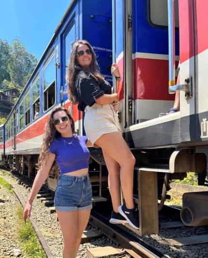 From Ella- All inclusive Day Trip of 8 Iconic Sights & Train | GetYourGuide