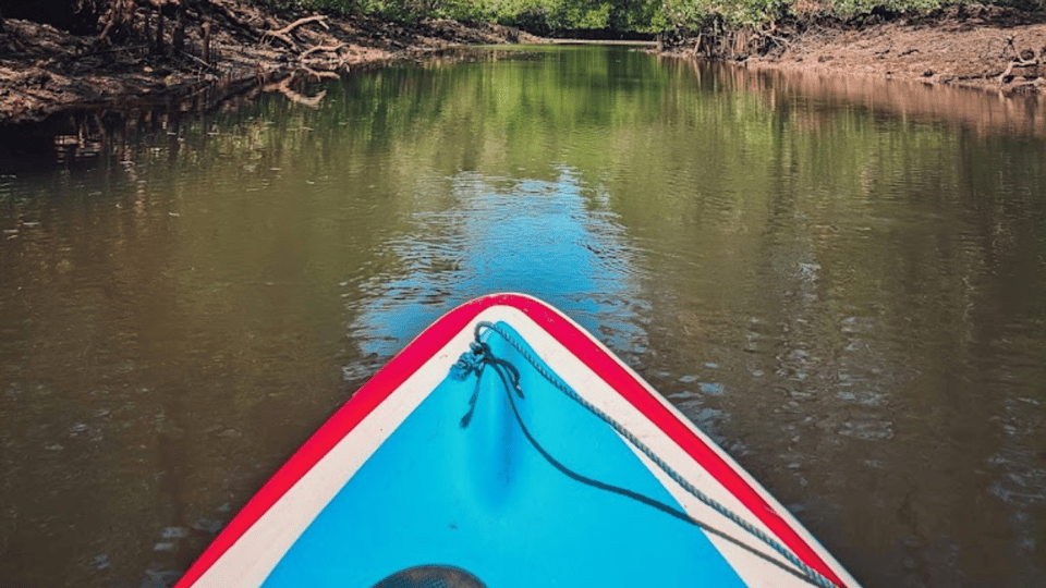 Bali: Mangrove Water Canoe with Toll and Airplane View | GetYourGuide
