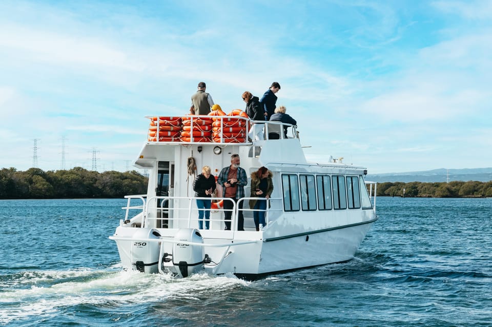 Port Adelaide: Dolphin and Ships Graveyard Cruise | GetYourGuide
