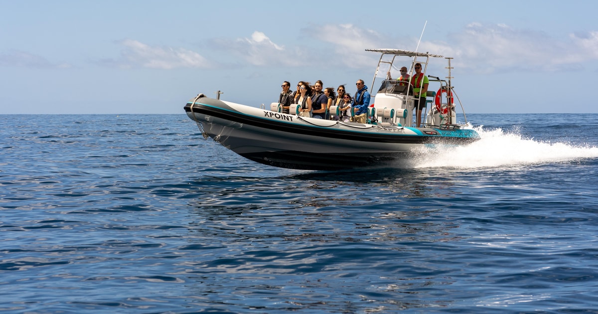 TIPP: Sunset over water by RIB boat | GetYourGuide