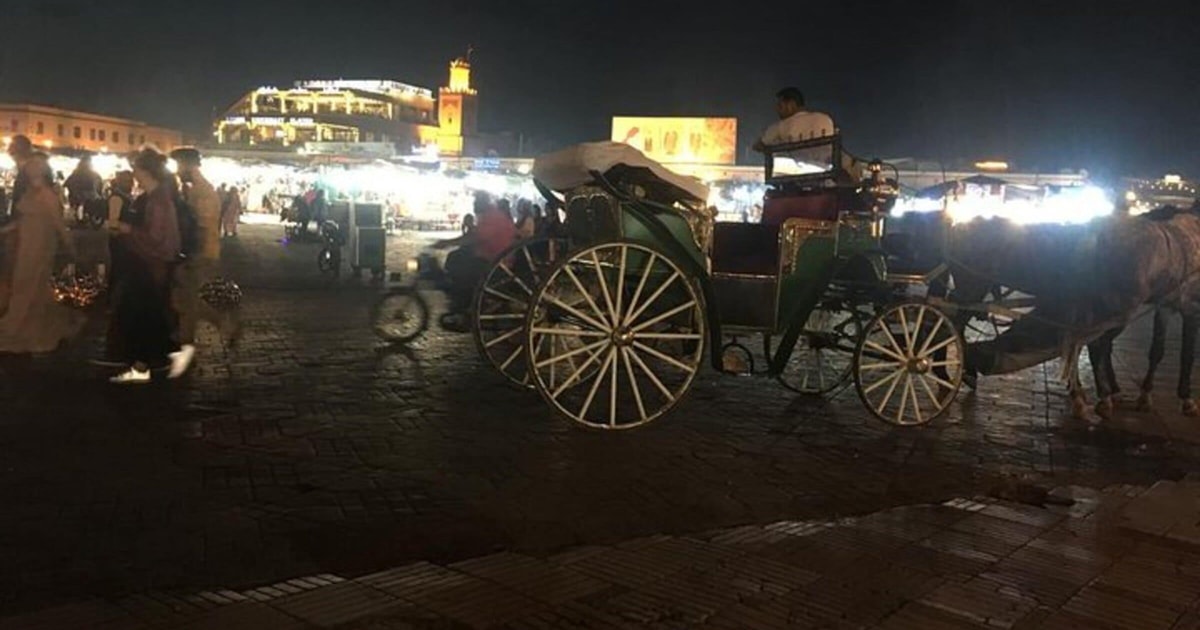 A Taste of Marrakech : Inside the Medina and carriage Tour | GetYourGuide