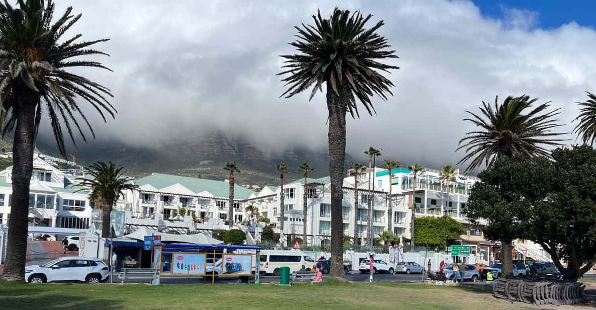 Dagvullende tour langs de mooiste stranden van Kaapstad. | GetYourGuide