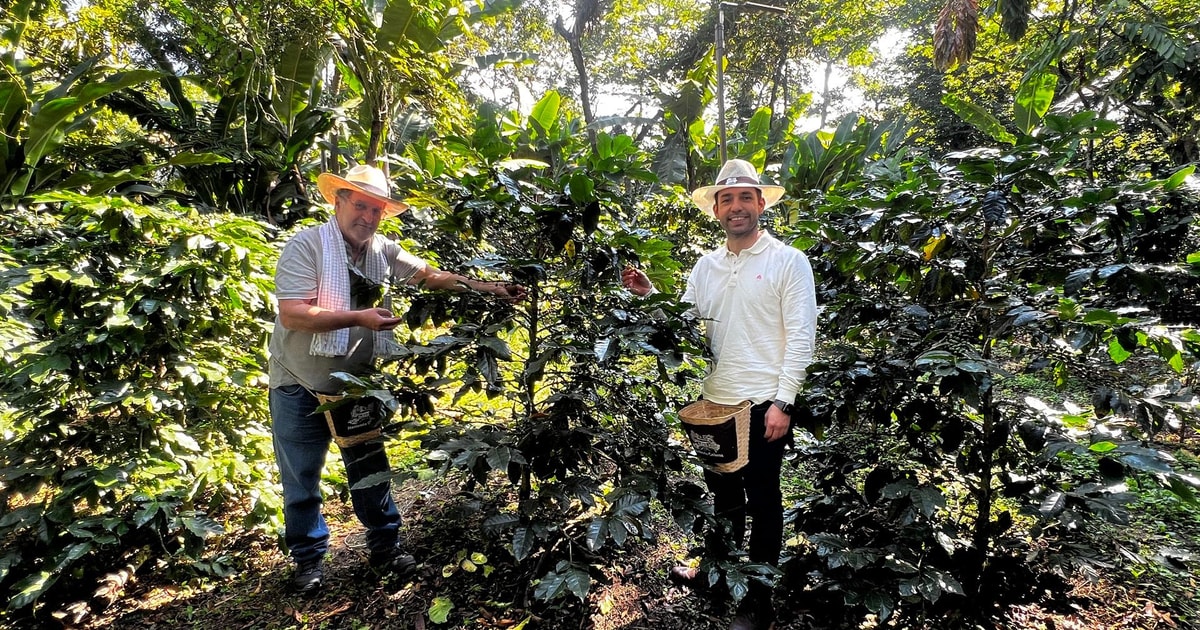 Salento: Coffee Farm Shared Tour | GetYourGuide