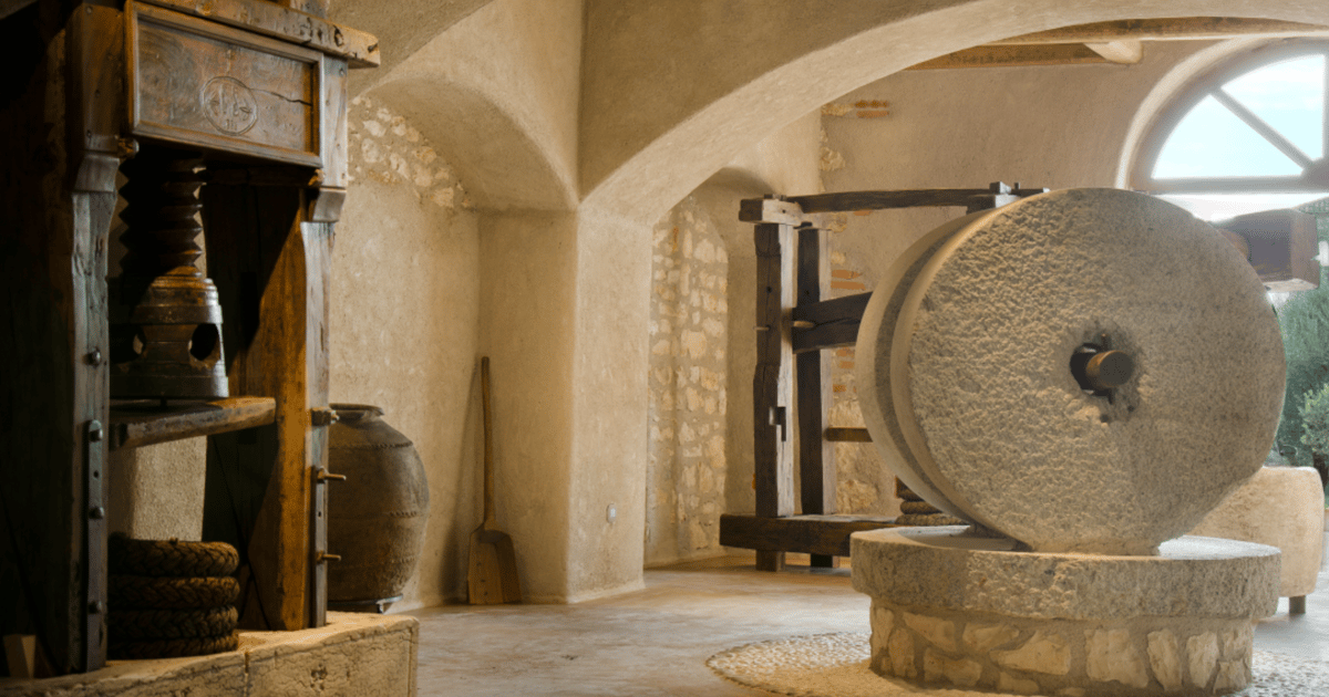 Olive Mill Tour and Tasting in the Verona Countryside | GetYourGuide