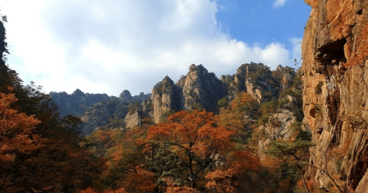 Seoraksan National Park Maple Leaves Tour_cable car optional | GetYourGuide