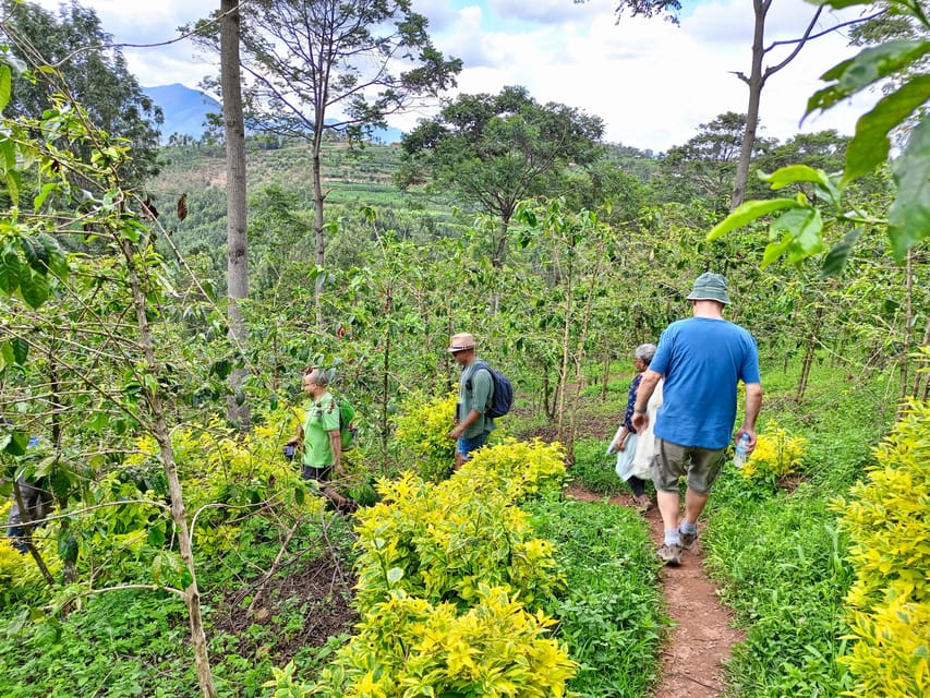 COFFEE PLANTATION TOUR | GetYourGuide