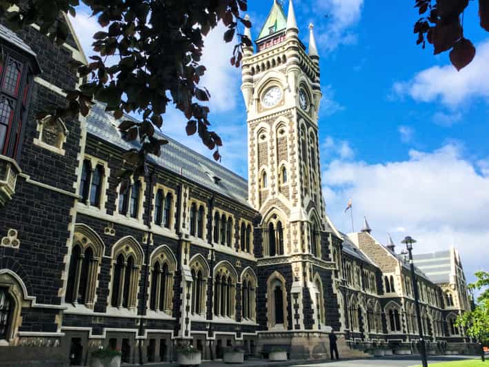 Dunedin: Small Group City Highlights Tour | GetYourGuide