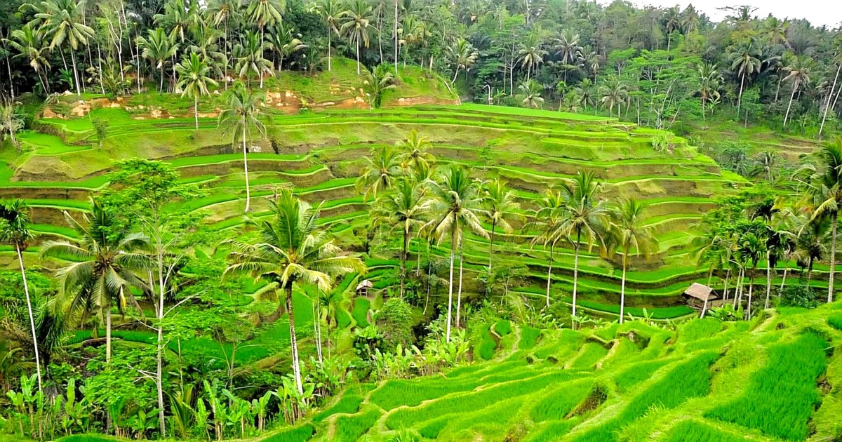 Prywatny przewodnik po Bali: Najlepsze z kultowych miejsc turystycznych ...