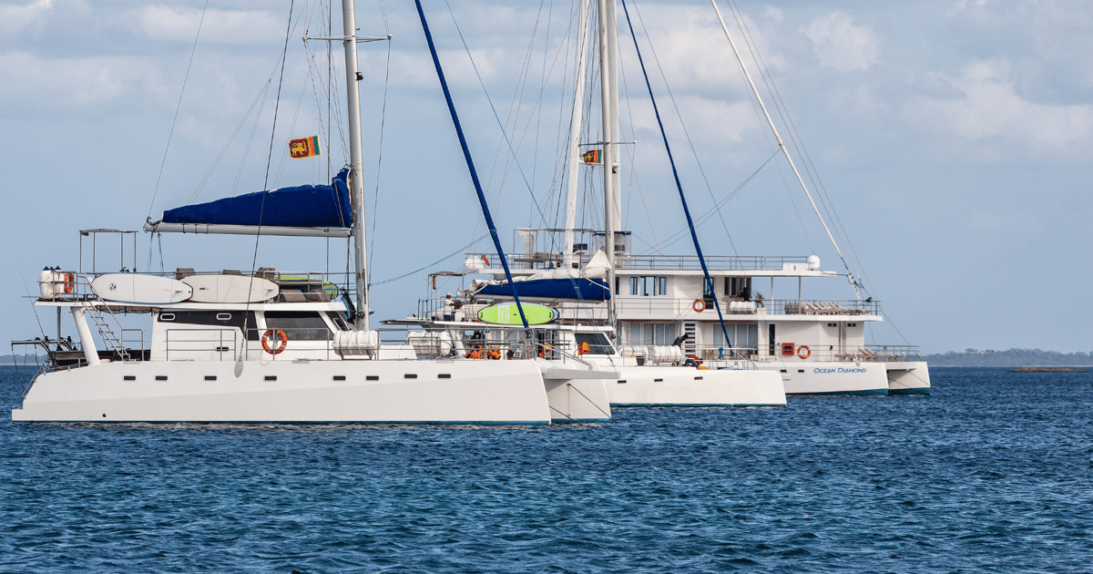 Mirissa: Luxury Sailing Boat Dolphin and Whale Watching | GetYourGuide