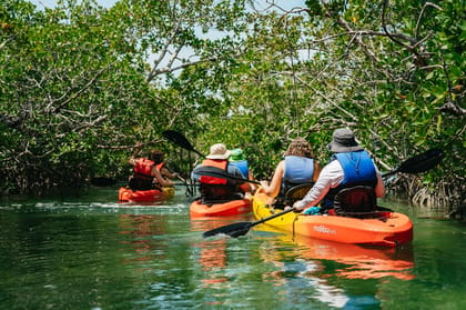 Key West: Sandbar Excursion & Kayak Tour with Lunch & Drinks | GetYourGuide