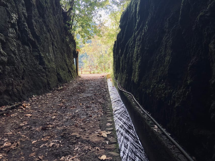 Pick up in Machico and Full day ticket bus in Santana | GetYourGuide