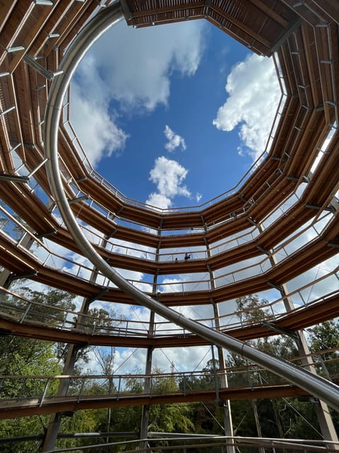 Avondale: Beyond the Trees Treetop Walk & Tower Entry Ticket | GetYourGuide