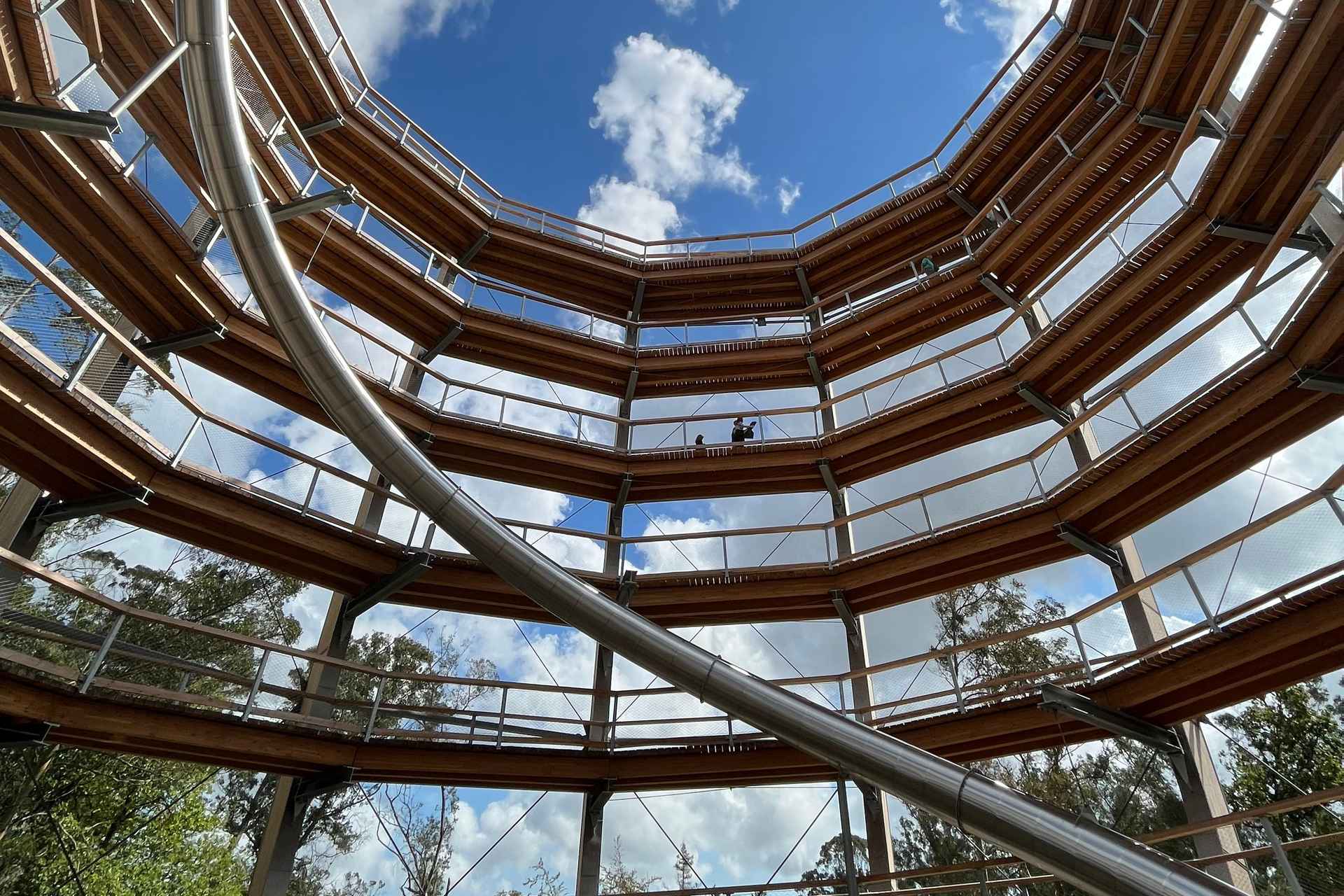 Avondale: Beyond the Trees Treetop Walk & Tower Entry Ticket | Guide to ...