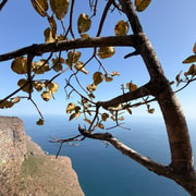 Salalah: Scenic West Coast Cliffs & Shaat Viewpoint - 2026 (Verified ...