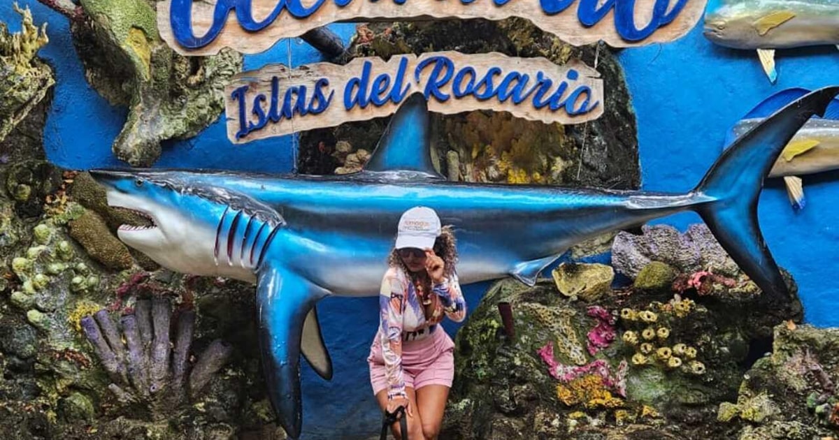 Cartagena : Tour de base des îles, visite de l'aquarium et déjeuner à ...