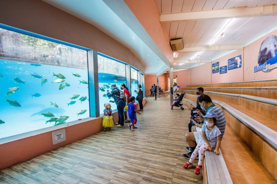 Bangkok: Safari World & Marine Park Entry Ticket & Transfer | GetYourGuide