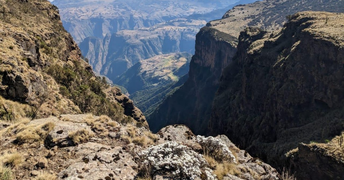 Simien Mountains: 3-Day Trek with Guide and Meals | GetYourGuide