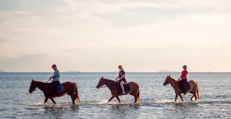 Koh Samui: Guided Horse Riding Tour on the Beach | GetYourGuide
