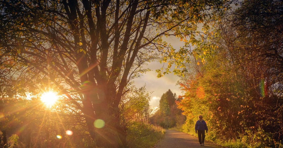 Our Back Yard Guided Winter Walk - Inverness | GetYourGuide