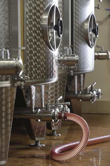 Pramaggiore: Ornella Bellia Winery Guided Tour & Tasting | GetYourGuide
