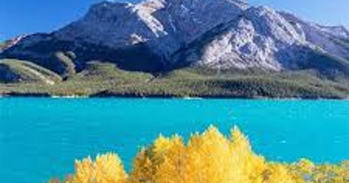 Banff: excursión de 1 día al lago Abraham, Tangle Creek y Mistaya ...