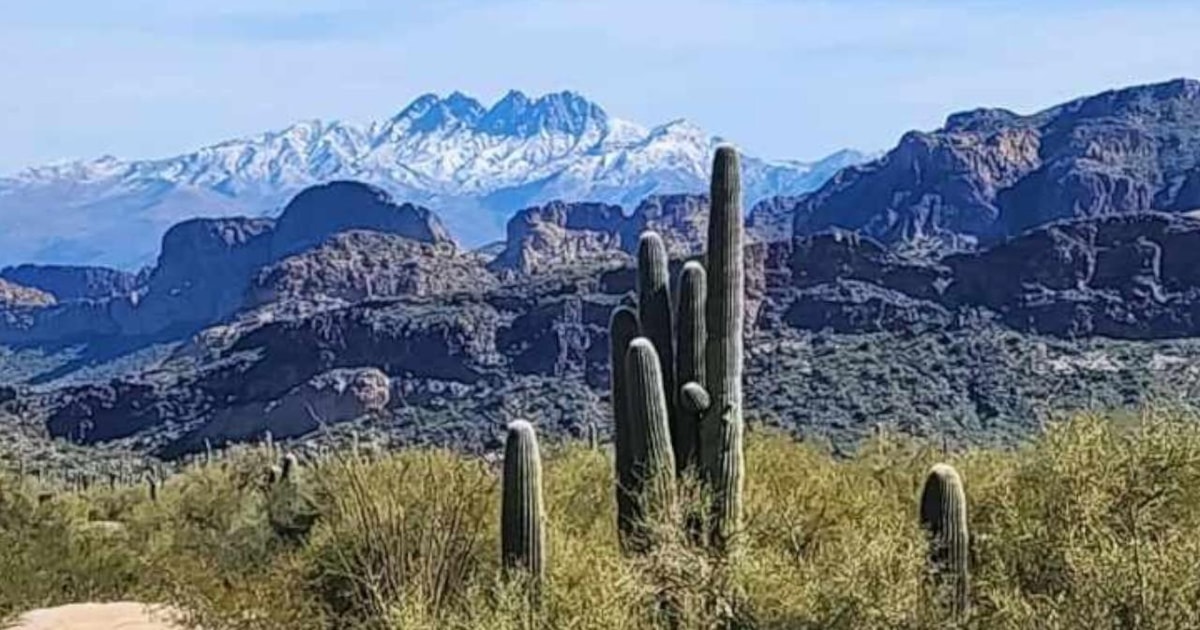 Mesa, AZ: Four Peaks Wilderness Off-Road Tour with Lunch | GetYourGuide