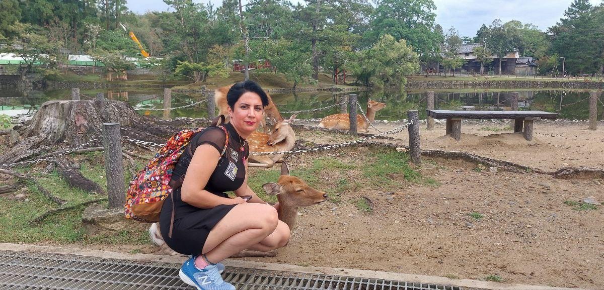 Discover Japan: Land of Tradition and Innovation | GetYourGuide