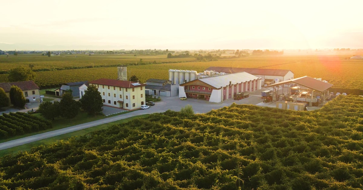 Tradition and Terroir of the Piave: Journey to Bellussera with Tasting ...