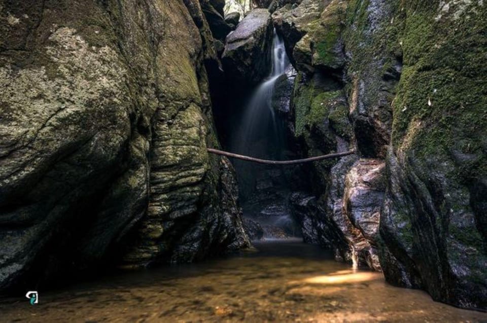 Day Hike to Shivapuri National Park From Kathmandu | GetYourGuide