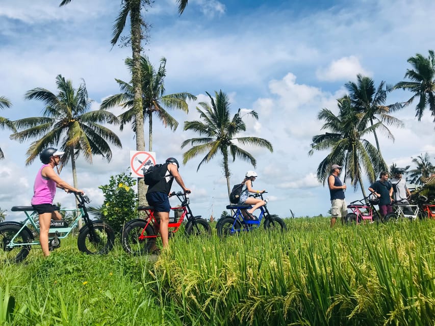 Ubud: Rice Terraces & Villages Half-Day Fat Tire E-Bike Tour | GetYourGuide