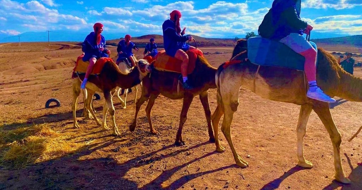 Marrakech: Agafay Desert Quad Bike, plimbare cu cămila și cină cu ...