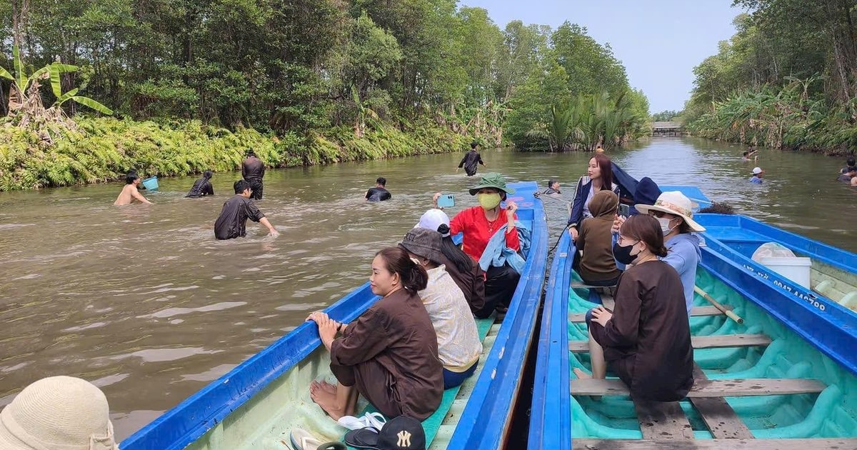 Explore Ca Mau: Dat Mui National Park | GetYourGuide