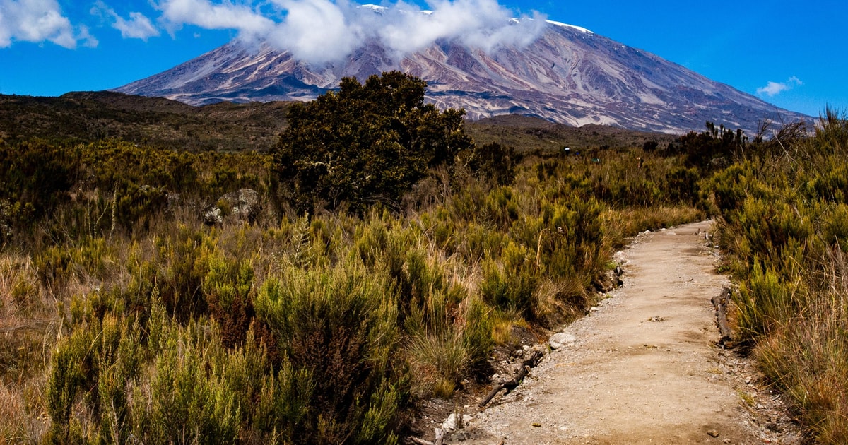 5 Tage Marangu-Route Kilimandscharo-Klettertour für 2024 2025 ...