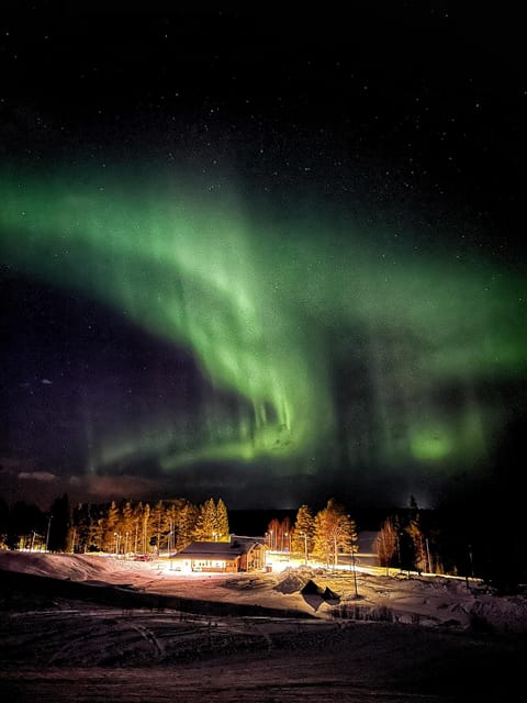 Remote Aurora Guiding in Finland | GetYourGuide