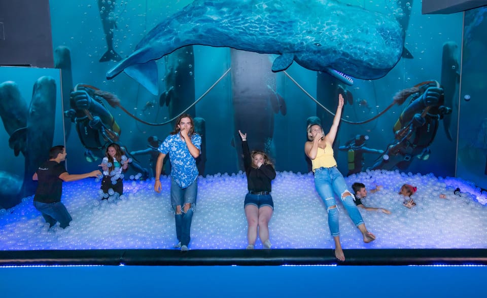 Orlando: Lonely Dog Immersive Art Storytelling Experience | GetYourGuide