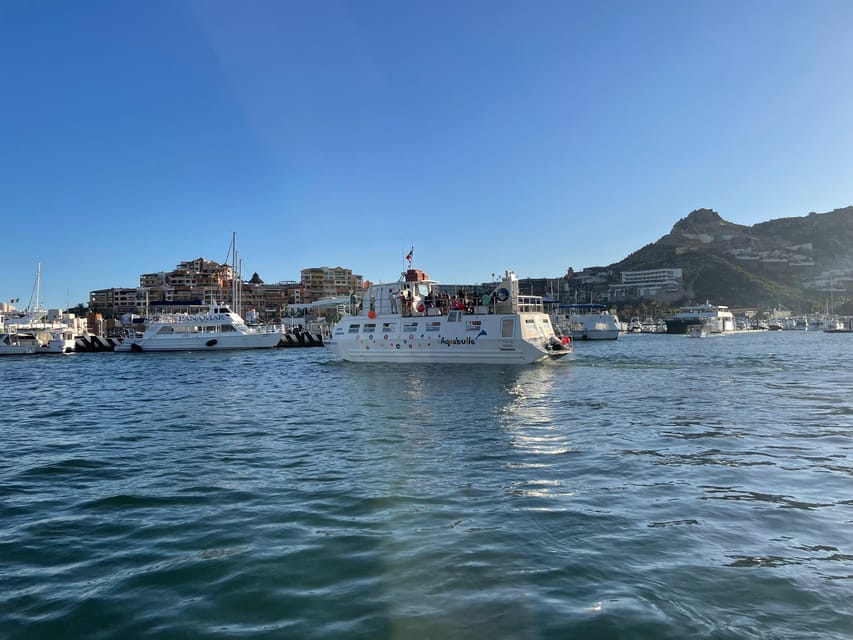 Underwater Exploration Tour & Ocean Sighting Tour | GetYourGuide