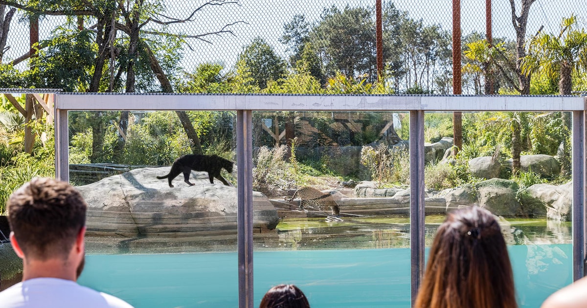 Chessy: Parrot World Immersive Animal Park Day Pass | GetYourGuide