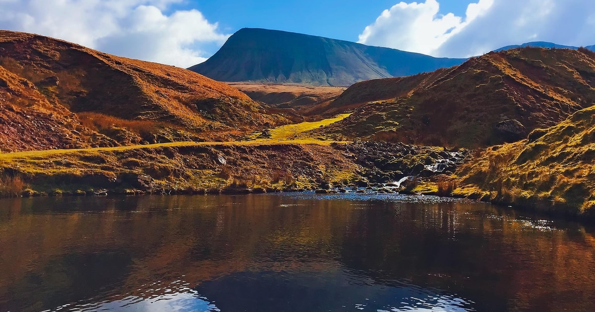 Vanuit Londen: dagtour naar de Dan Yr Ogof-grotten in Brecon Beacons ...