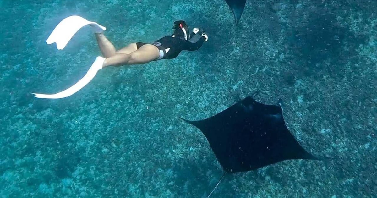 Depuis Bali : Plongée avec tuba à Manta Point Nusa Penida et excursion ...
