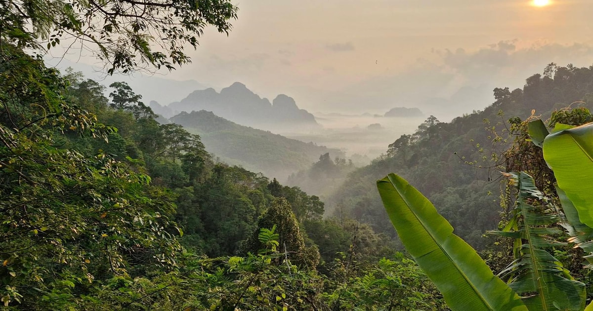 Khao Sok National Park: 3-daagse natuur- en jungletour aan het Cheow ...