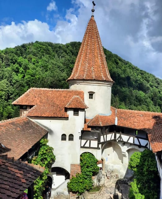 Sibiu: Dracula's Castle and Dino Park Day Trip | GetYourGuide