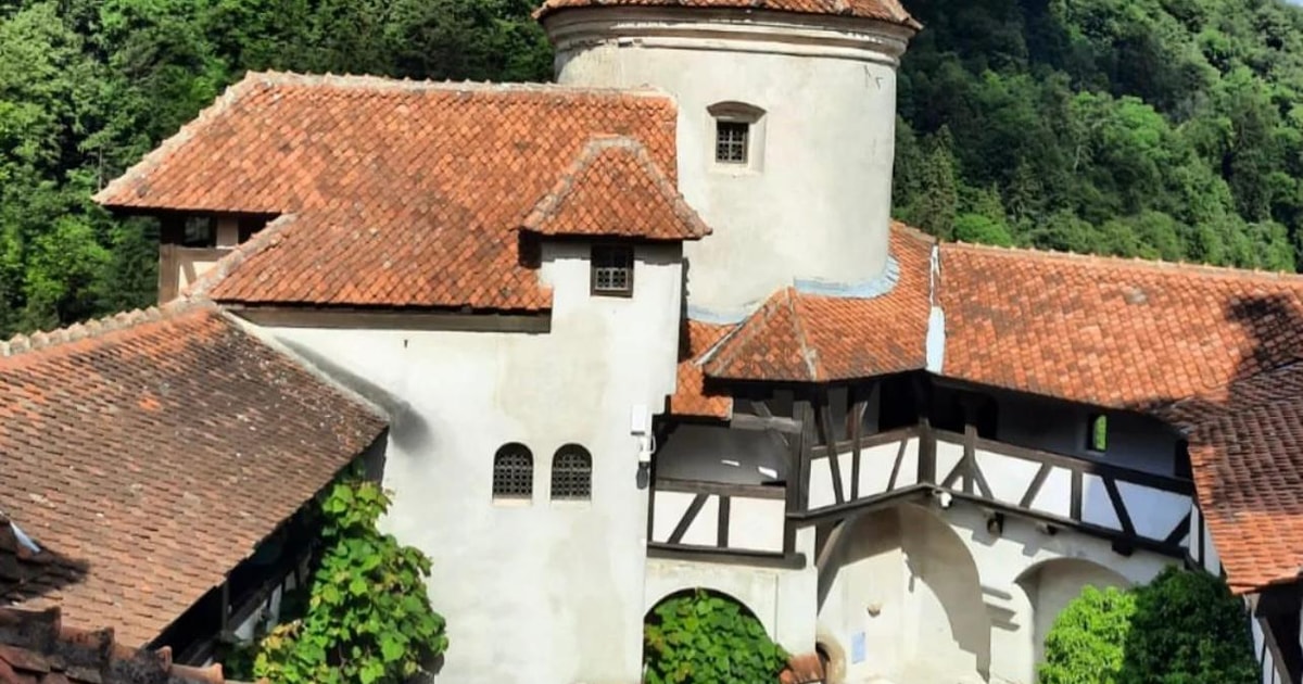 Sibiu: Dracula's Castle and Dino Park Day Trip | GetYourGuide