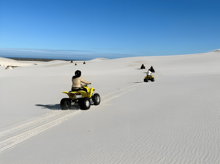 Quad Biking Tour , Atlantis dunes Capetown | GetYourGuide