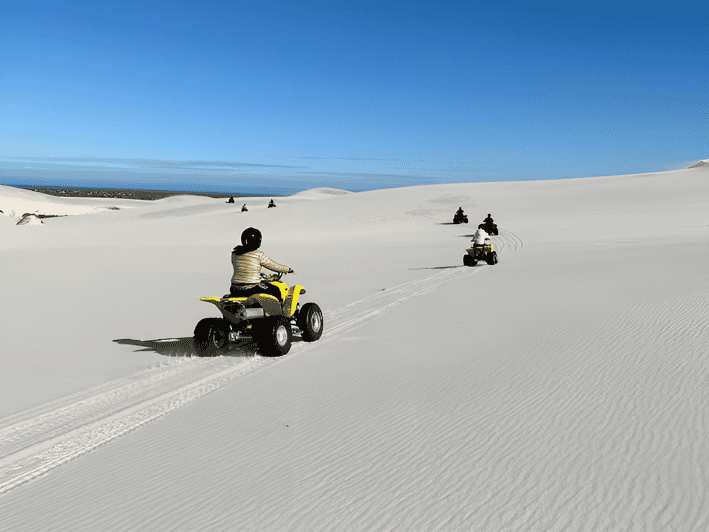 Excursión en quad , Atlantis dunes Capetown | GetYourGuide