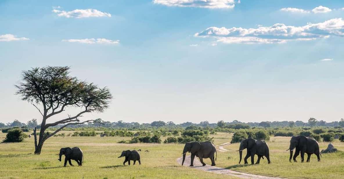 Hwange Airport to City ride | GetYourGuide