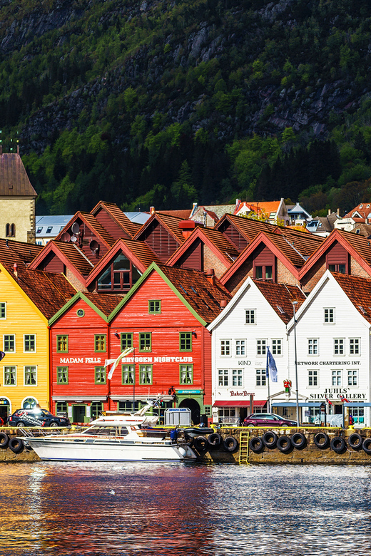 From Bergen, Sightseeing Fjord Cruise to Alversund Strait - SuiteTrails